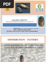 ALP Fumigation Principal and Mode of Action FCI | PDF | Beetle | Insects