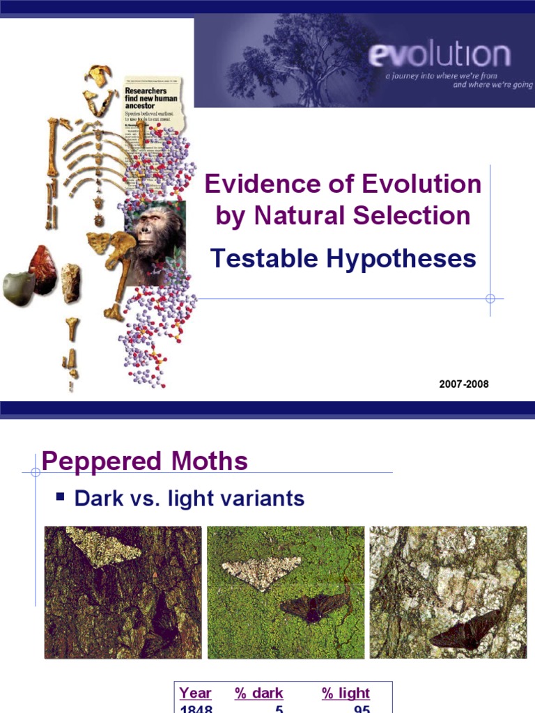 Evidence of Evolution by Natural Selection: Testable Hypotheses | PDF ...