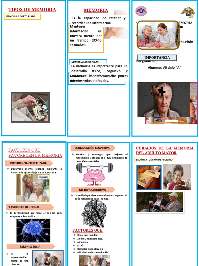 Tipos de Memoria Triptico Ultimo | PDF | Memoria | Adultos