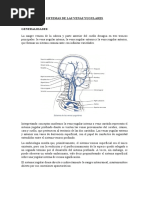Arco de Riolano | PDF | Tinción | Anatomía