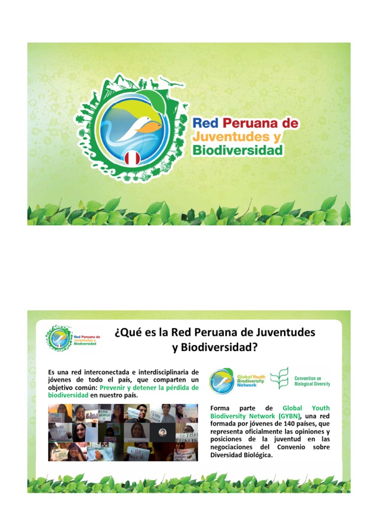 Red Peruana de Juventudes y Biodiv | PDF