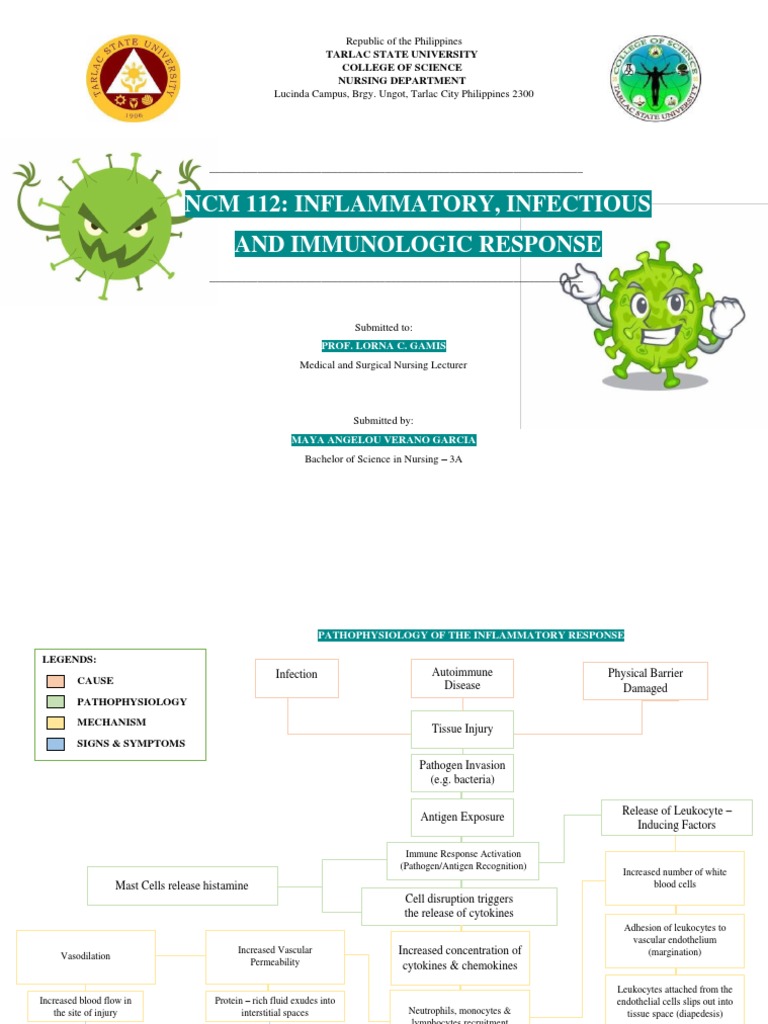 Pathophysiology of Inflammatory Response | PDF | Inflammation | White ...