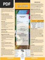 Agrigrow Ca B ZN - Ficha Técnica | PDF | Toxicidad | Calcio
