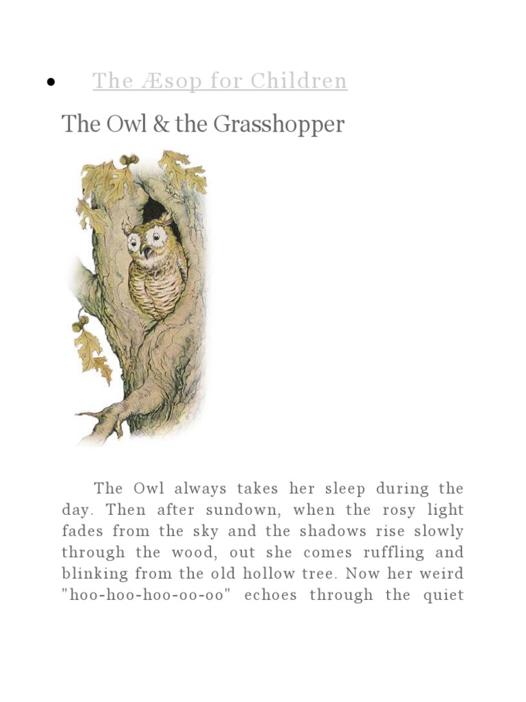 Owl and The Grasshopper