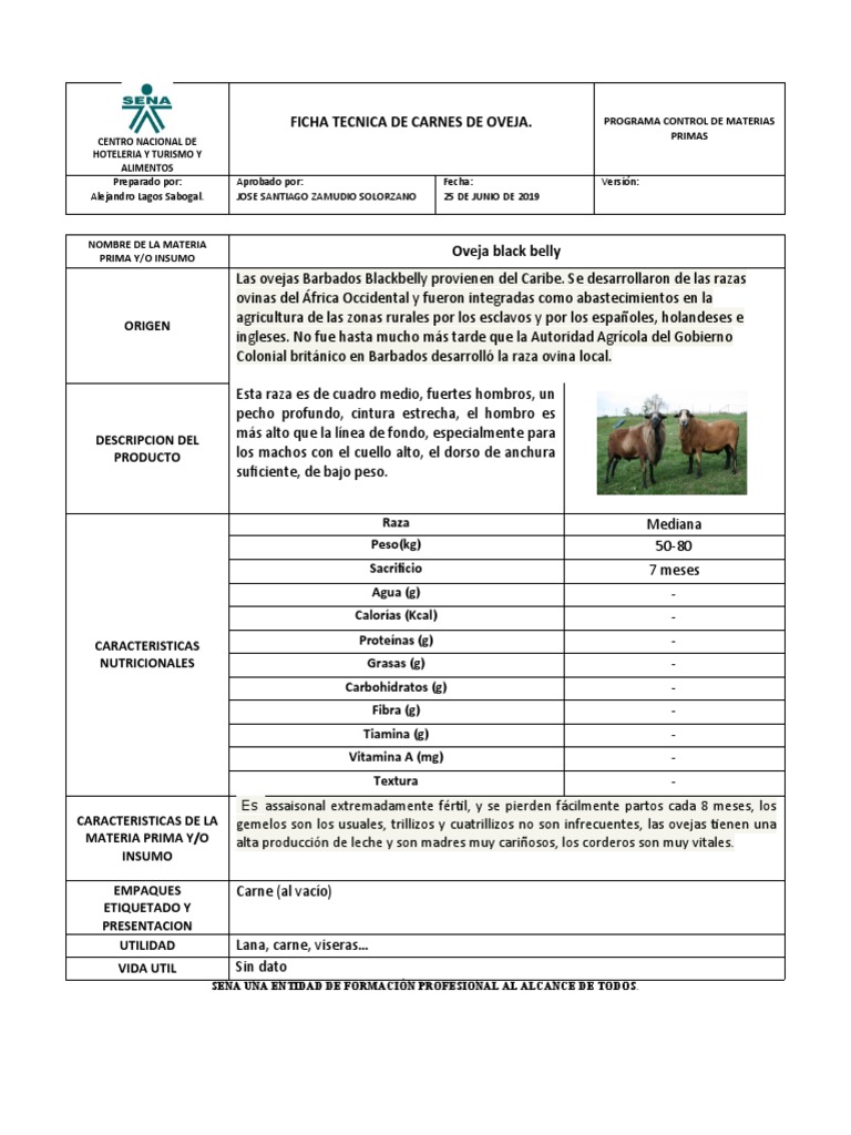 Ficha técnica ovejas.docx | PDF | Oveja | Carne