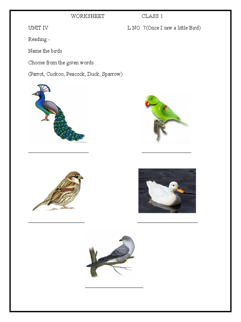 CBSE Class 1 English Worksheets 3 PDF