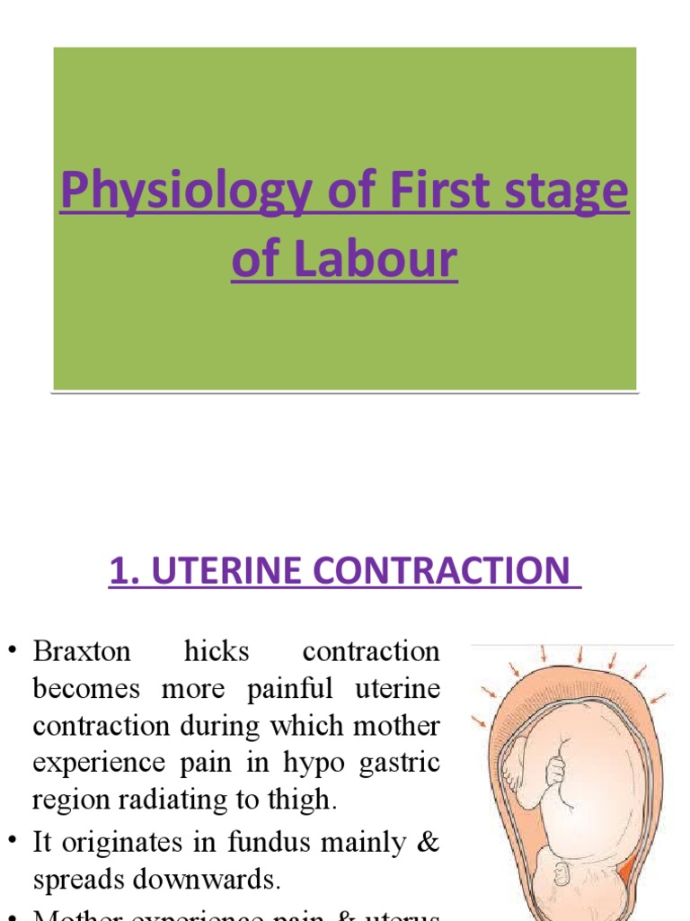Physiology of 1st Stage of Labour | PDF | Uterus | Childbirth