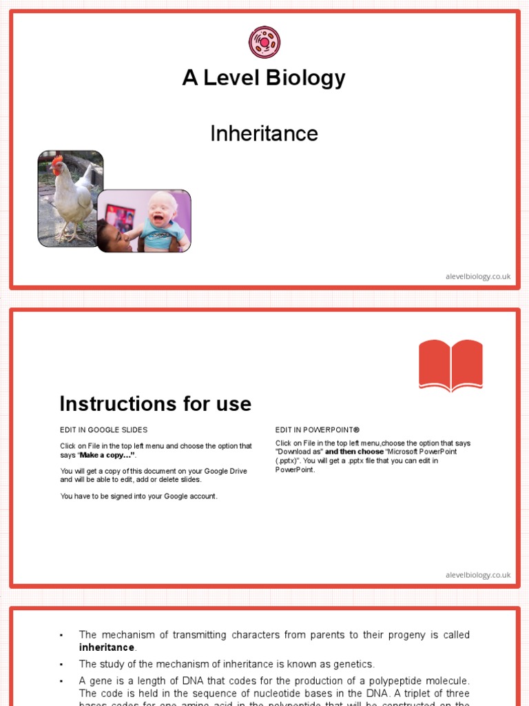 A Level Biology: Inheritance | PDF | Dominance (Genetics) | Allele
