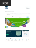 Pasos de Pago Vnet | PDF | Finanzas y dinero