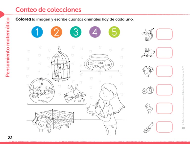 Conteo de Colecciones PDF | PDF