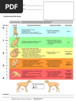 CSU Canine Acute Pain Scale Guide | PDF | Pain | Diseases And Disorders
