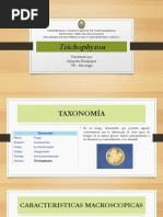 Características de Trichophyton spp. | PDF | Medicina CLINICA ...