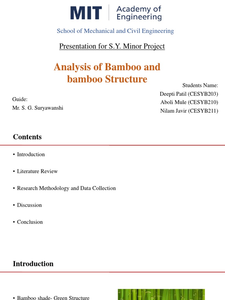 Bamboo | PDF | Strength Of Materials | Young's Modulus