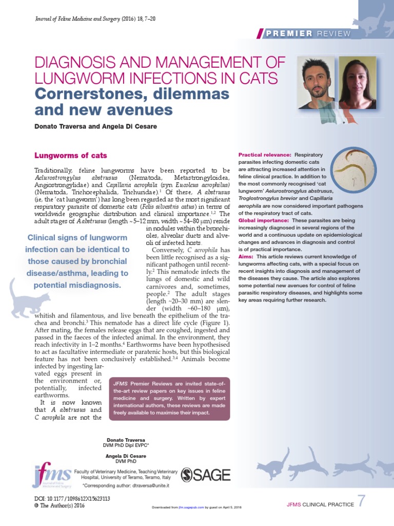 Diagnosis and Management of Lungworm Infections in Cats | PDF | Lung ...