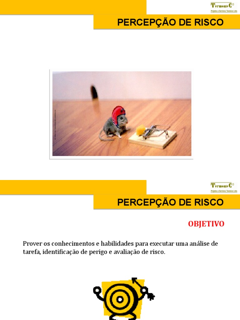 Apresentação de Percepção de Risco | PDF | Percepção