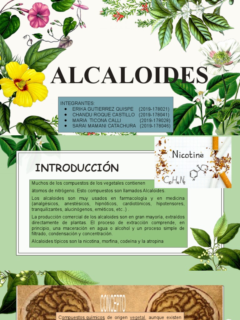 ALCALOIDES | PDF | Alcaloide | Ciencias fisicas