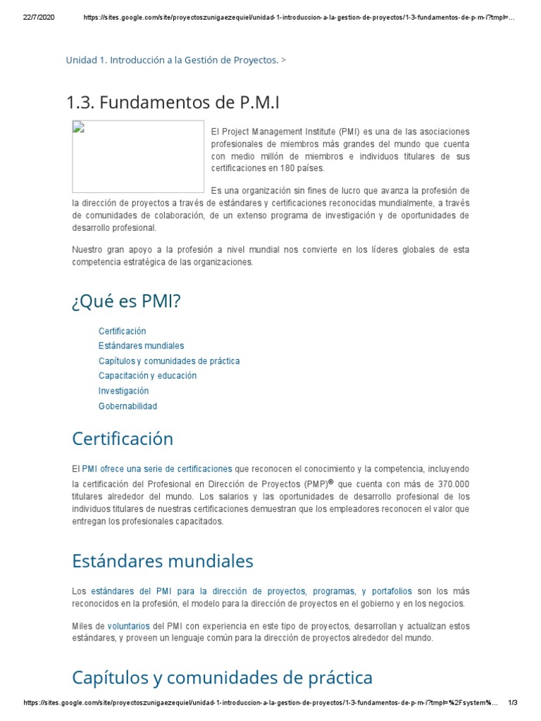 1.3. Fundamentos de P.M.I: ¿Qué Es PMI? | PDF | Gestión de proyectos ...