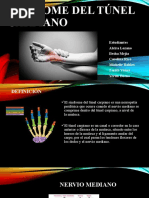 Zonas y Tuneles de La Mano y Muñeca | PDF | Mano | Sistema ...