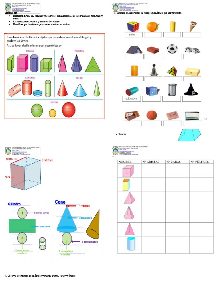 1° Año - Matematica - Figuras en 3D para El Cuadernop | PDF