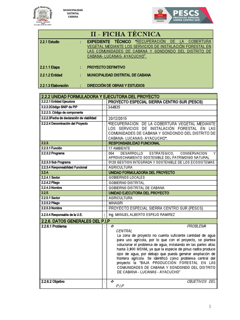 Ficha Tecnica | PDF | Presupuesto | Economias