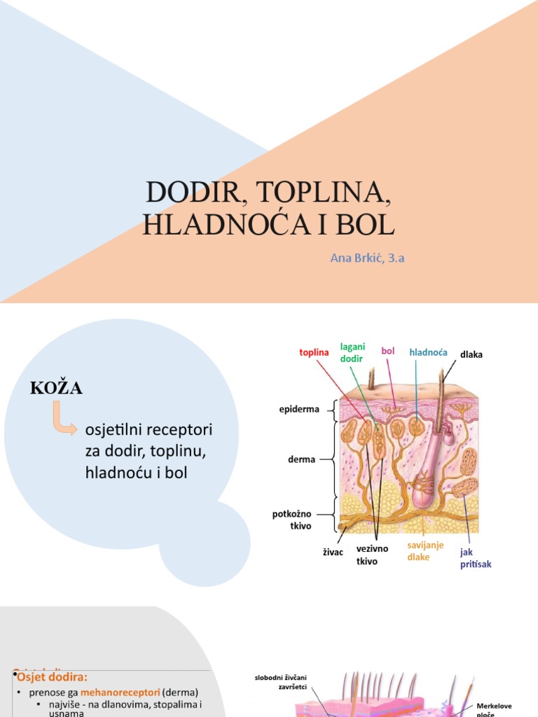 Dodir, Toplina I Hladnoća | PDF