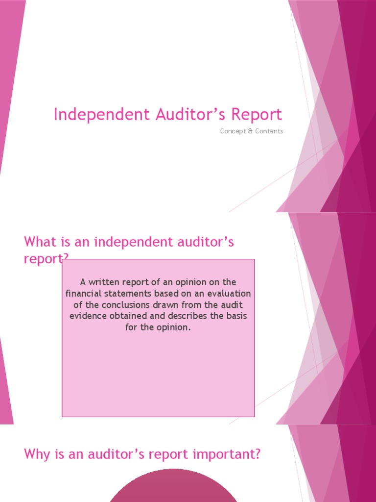 Independent Auditor's Report | PDF | Auditor's Report | Audit