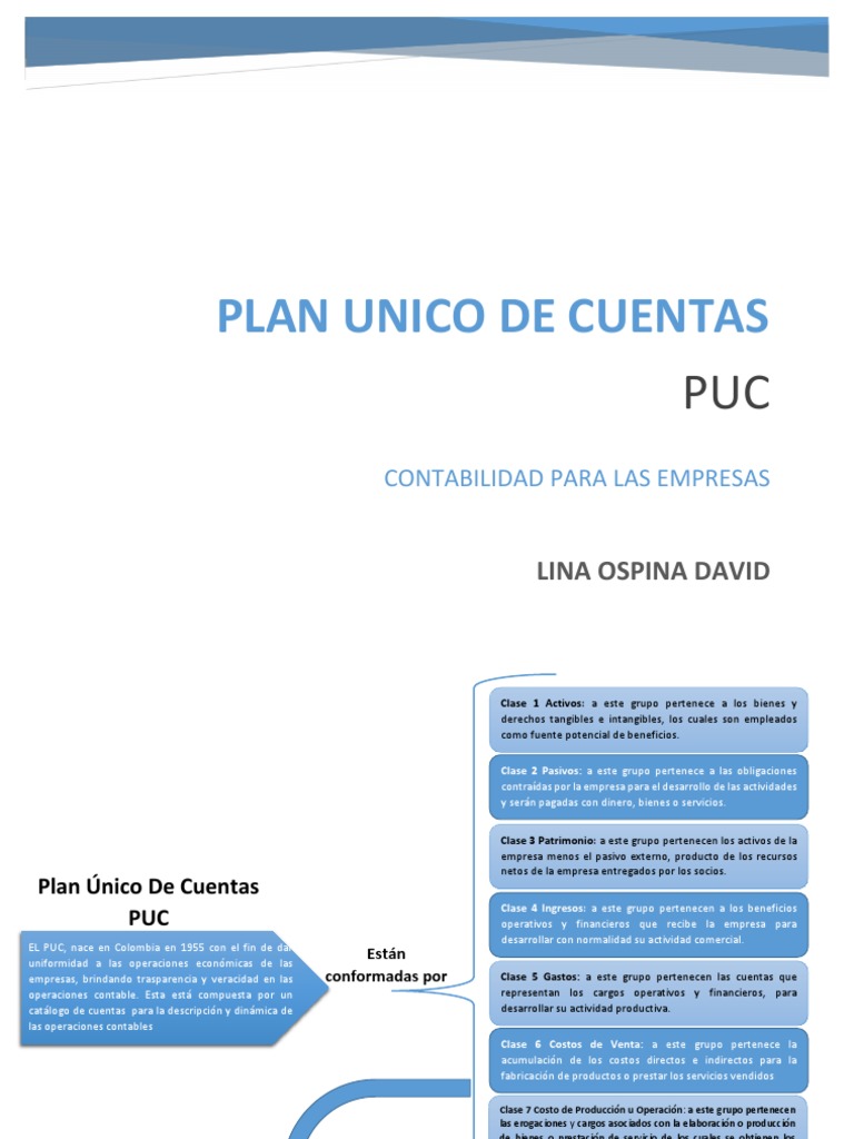 Plan Único de Cuentas PUC | PDF | Contabilidad | Business