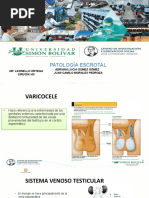 Protocolo Diagnóstico de Las Adenopatías Inguinales | PDF | Infección transmitida sexualmente ...