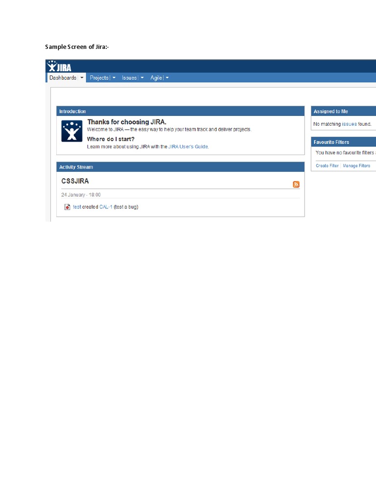 Sample Screen of Jira | PDF