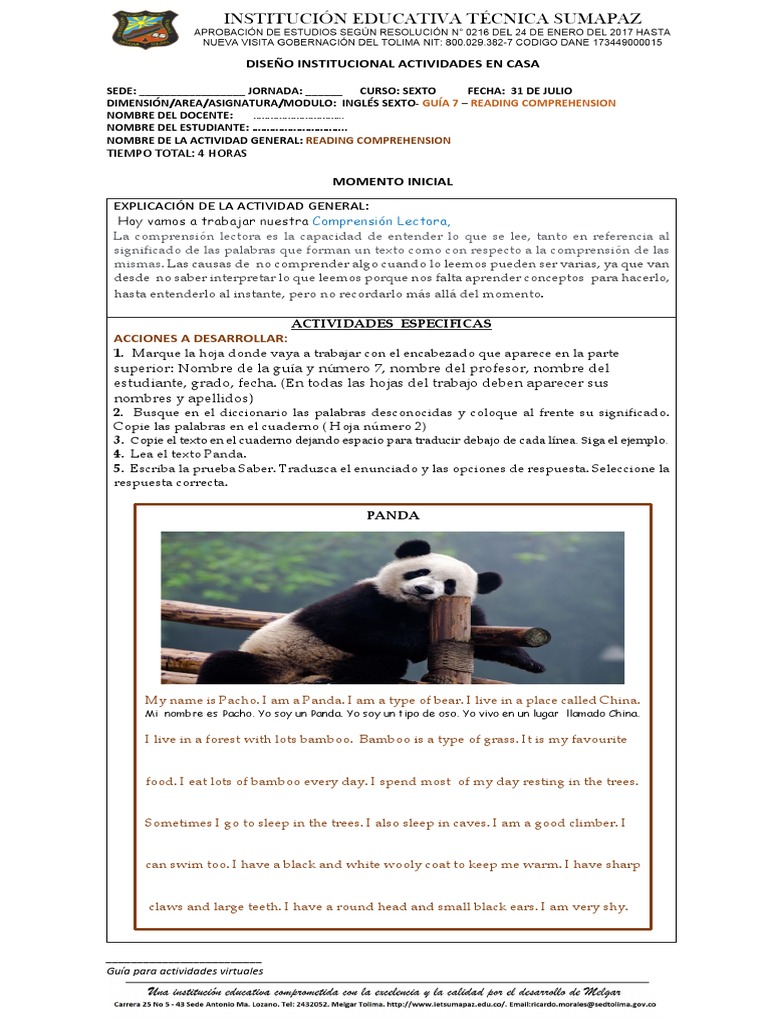 7 Guia - Reading Comprehension - 6° | PDF