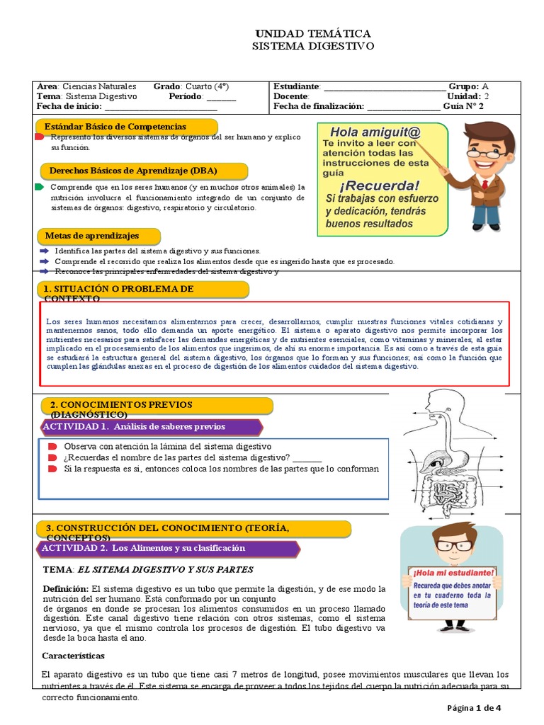 Guia Sistema Digesivo | PDF | Sistema digestivo humano | Digestión