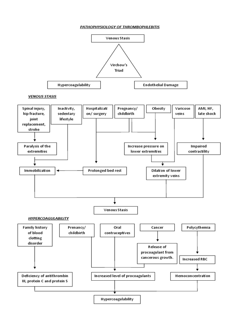 Pathophysiology of Thrombophlebitis | PDF | Coagulation | Inflammation