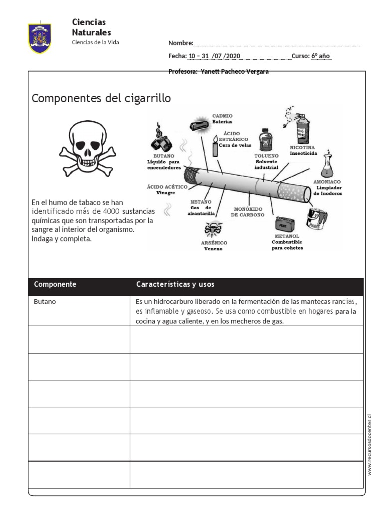 Guía Componentes Del Cigarrillo | PDF