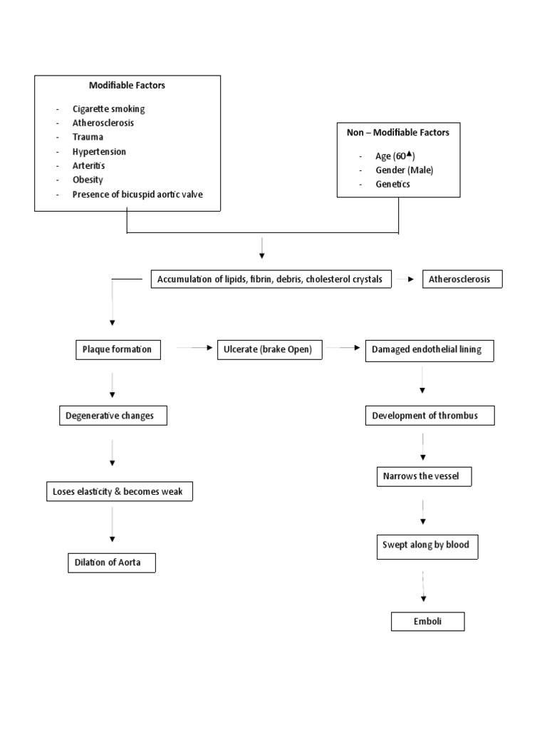 Aortic Aneurysm | PDF | Interventional Radiology | Vascular Diseases