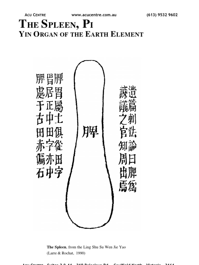 Understanding the Spleen in Chinese Medicine | PDF | Yin And Yang ...