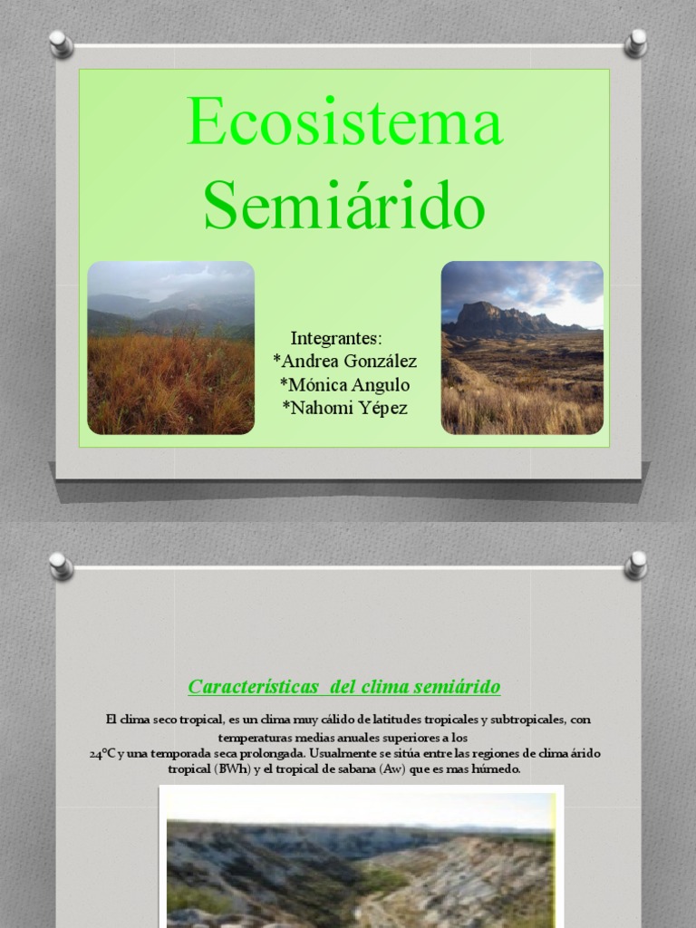 Ecosistema Semiárido | PDF | Biodiversidad | Ecosistema