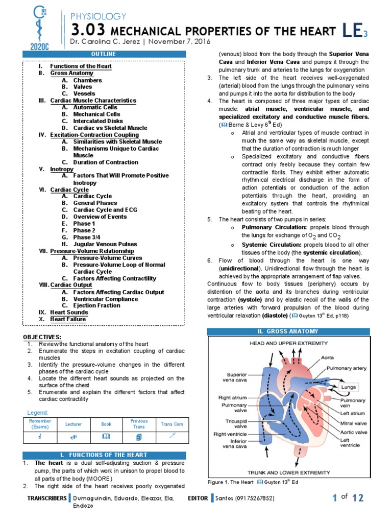 Heart's Mechanical Properties | PDF | Ventricle (Heart) | Heart Valve