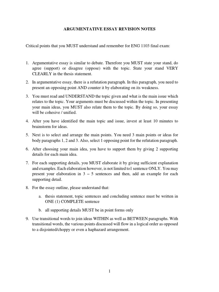Argumentative Essay Revision Notes | PDF | Essays | Communication