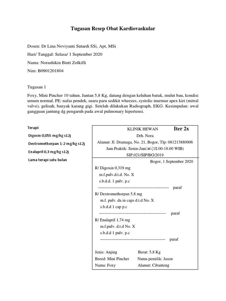 Tugasan Resep Obat Kardiovaskular | PDF
