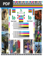 Sublimation Purge Cyan Jennifermaker PDF | PDF