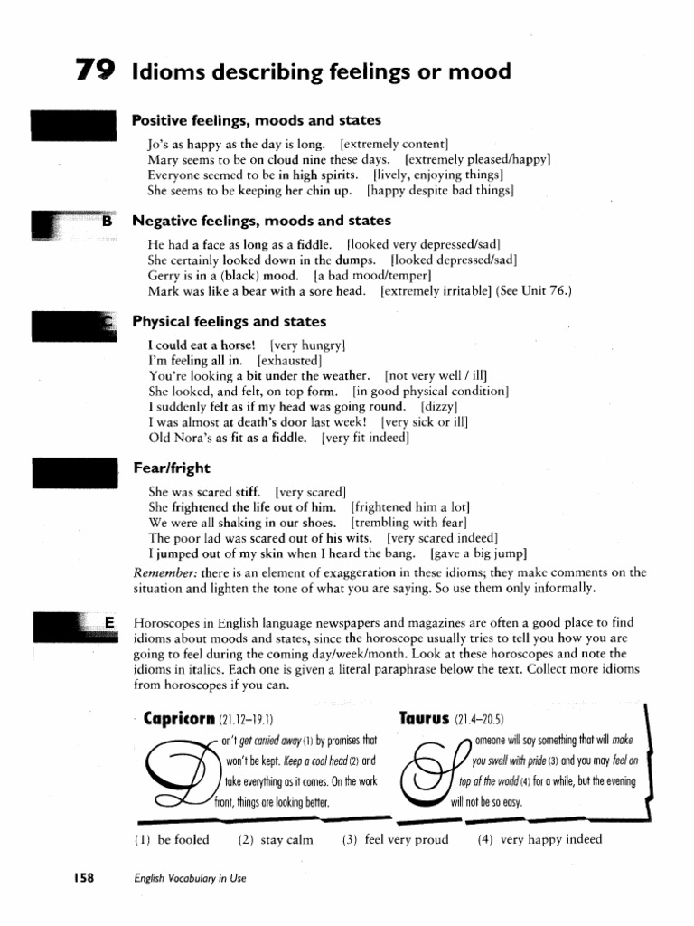 English Vocabulary in Use-Idiom - Describing Feelings | PDF