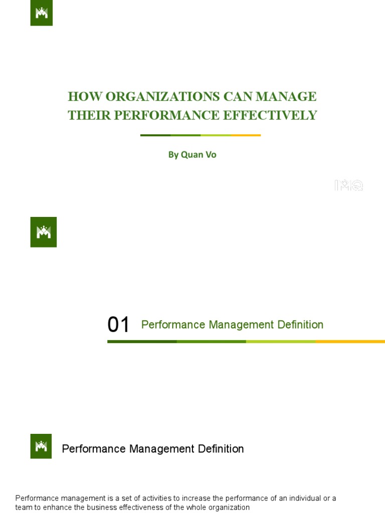 How Organizations Can Manage Their Performance Effectively - Tease | PDF