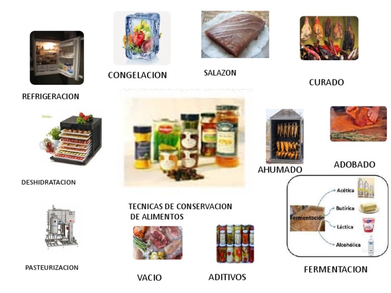 Mapa Mental Conservacion de Alimentos | PDF