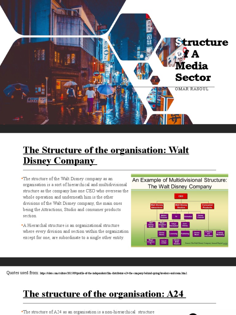 Structure of A Media Sector | PDF | The Walt Disney Company | Public ...