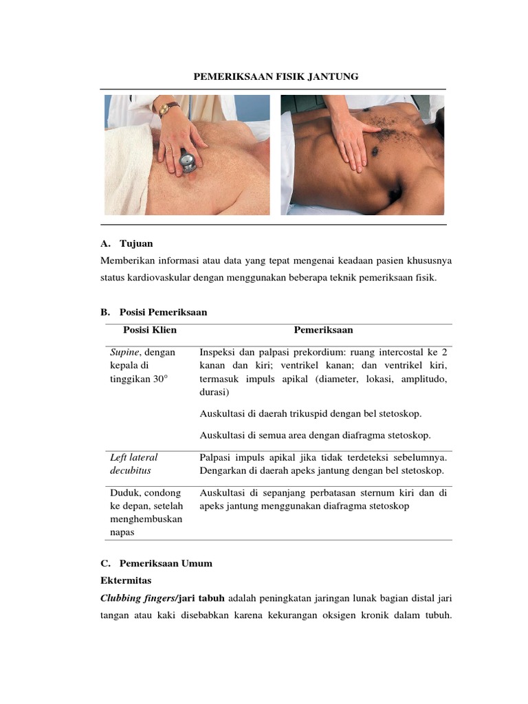 Pemeriksaan Fisik Jantung | PDF
