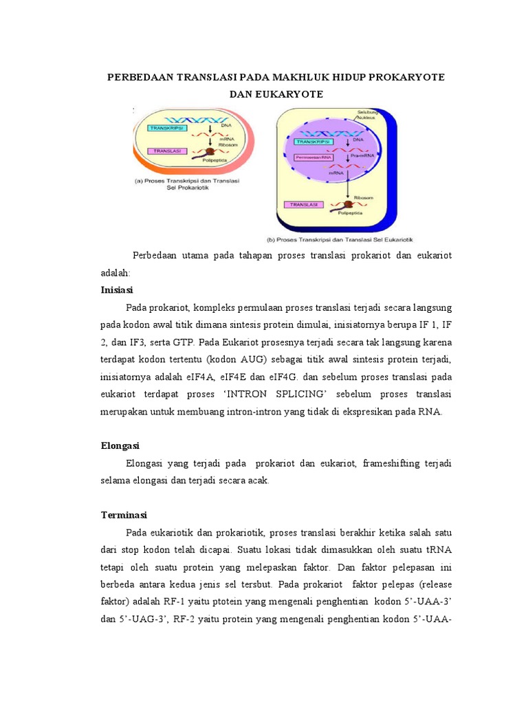 Perbedaan Translasi Prokariot dan Eukariot | PDF | Sains & Matematika