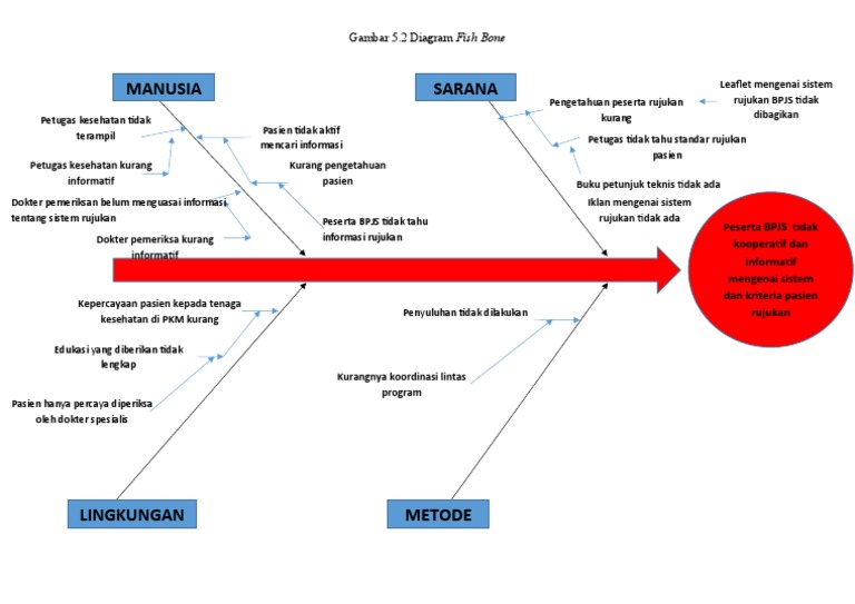 Diagram Fishbone untuk Rujukan BPJS | PDF