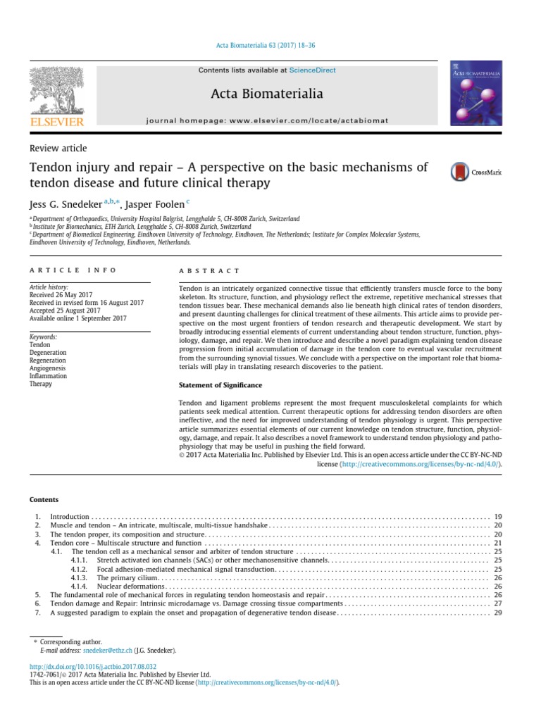Acta Biomaterialia: Jess G. Snedeker, Jasper Foolen | PDF | Tendon ...