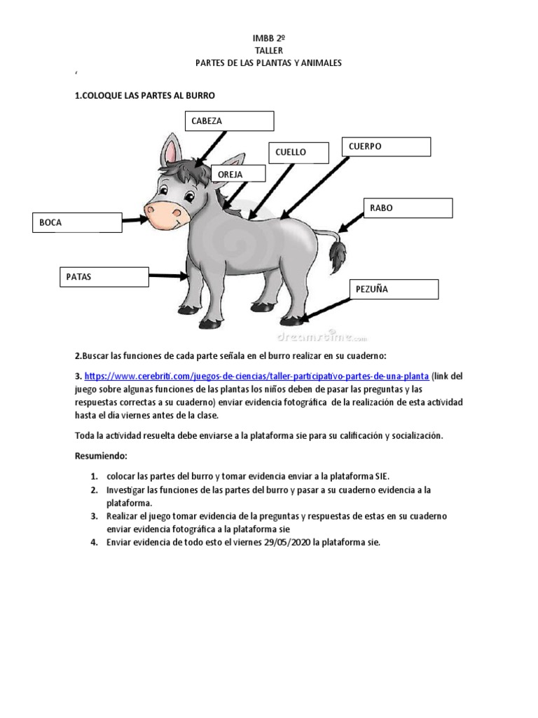 Coloque Las Partes Al Burro. | PDF