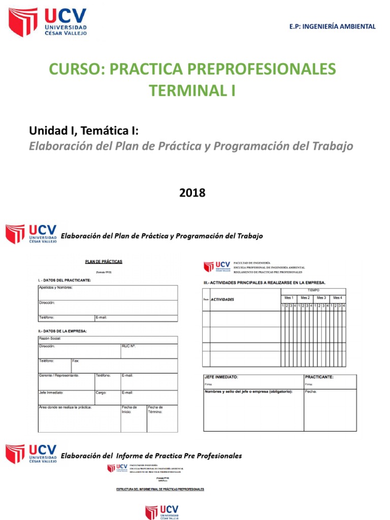 Elaboracion Del Plan de Practica y Programacion de Trabajo PDF | PDF | Business | Science